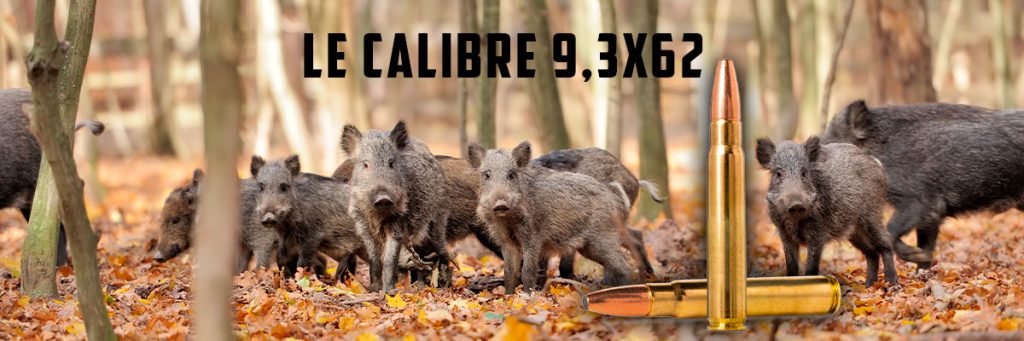 Le calibre .30-06 Springfield : un incontournable de la chasse – Blog ...